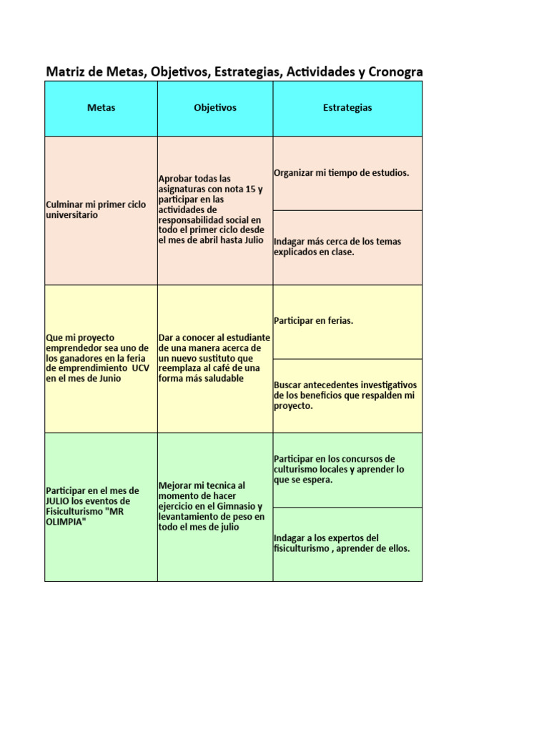 Matriz de Metas Objetivos Estrategias Actividades y Cronograma (1 ...