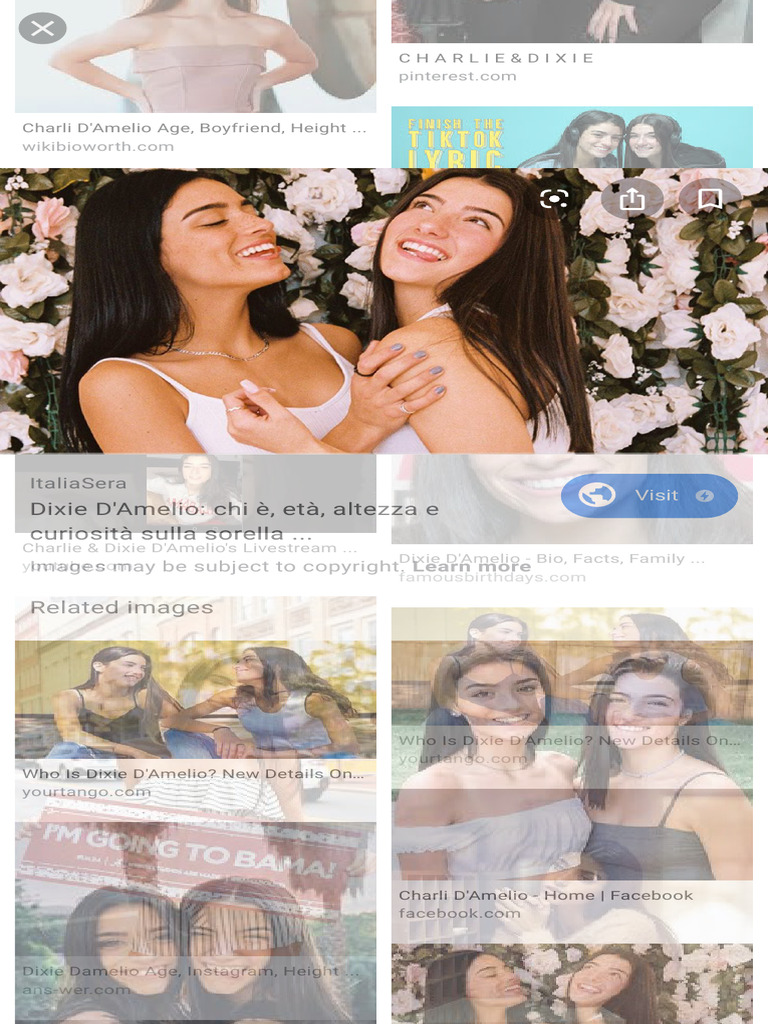 Chali and Dixie D'amelio. - Google Search | PDF