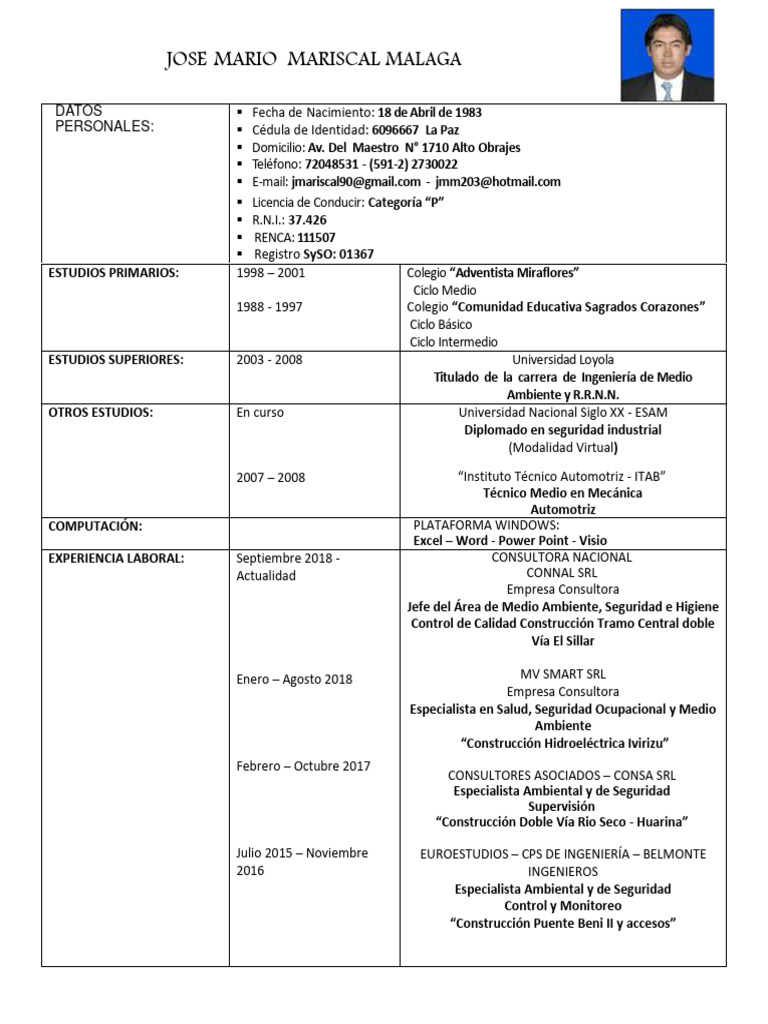 Perfil Profesional de José Mario Mariscal | PDF