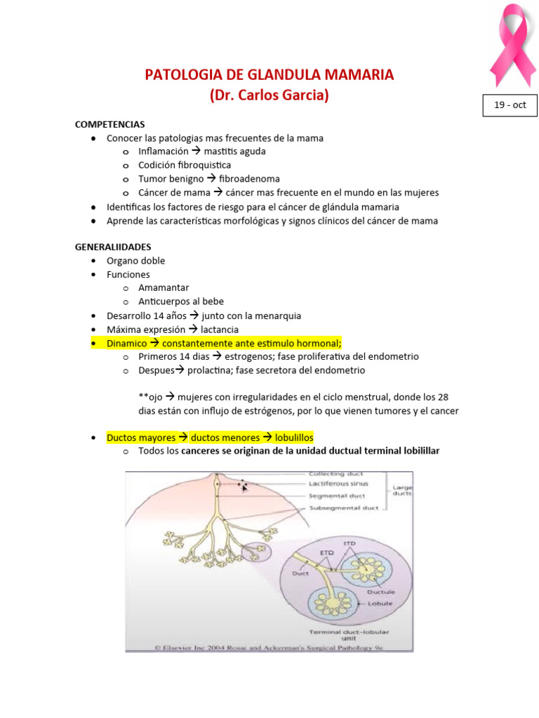 Patologia de Mama | Descargar gratis PDF | Cáncer de mama | Pecho