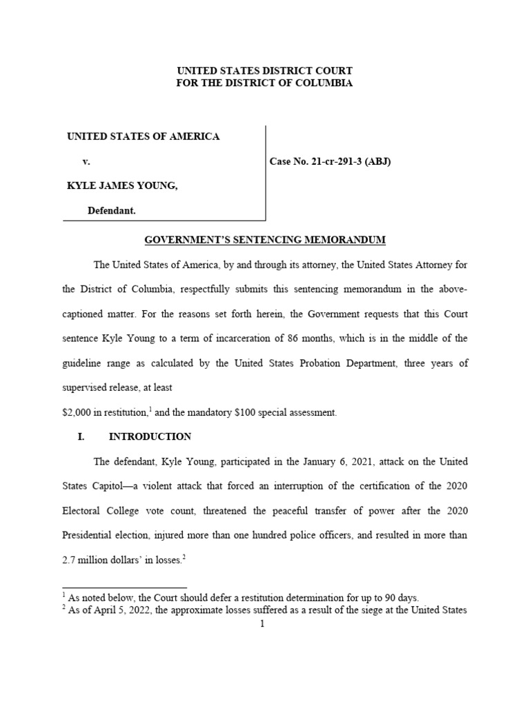 YoungK Gov't Sentencing Memo Redacted | PDF | United States Federal ...