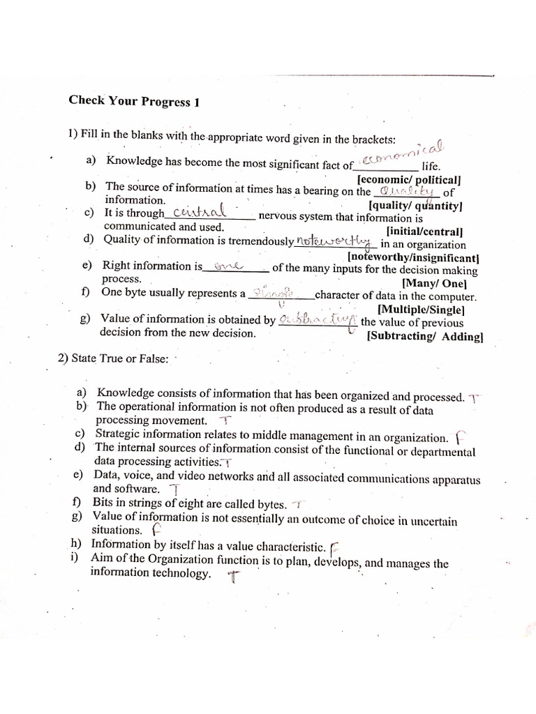Cit002 Back Exercise | PDF
