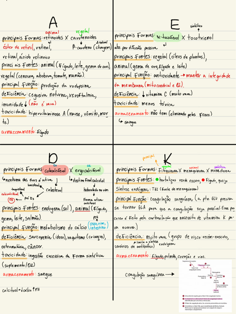 VITAMINAS A, E, D e K (Resumo) | PDF | Vitamina | Vitamina A