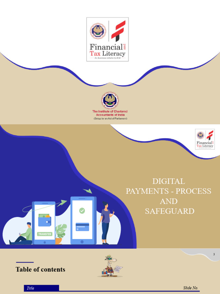 Digital Payments Process Safeguards | PDF | Payments | Service Industries