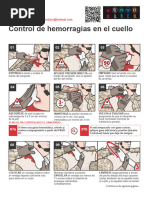 Protocolo MARCH TASTICO | PDF