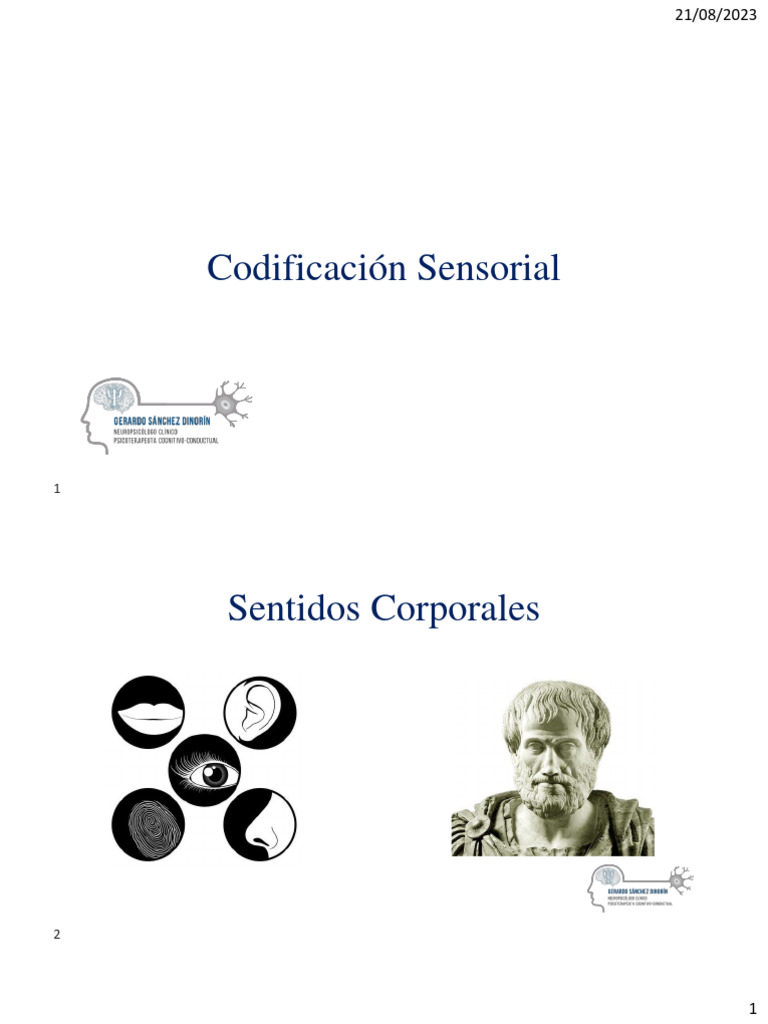 Codificación Sensorial | PDF | Percepción | Experiencia