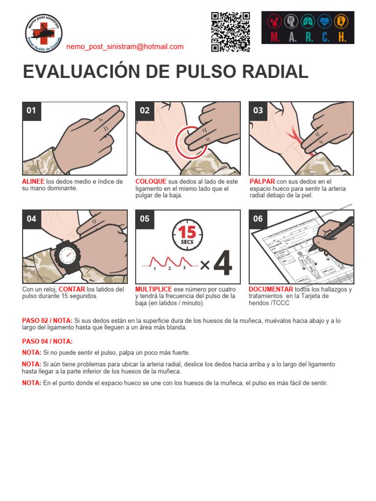 Evaluación de Pulso Radial | PDF | Legumbres | Sistema cardiovascular