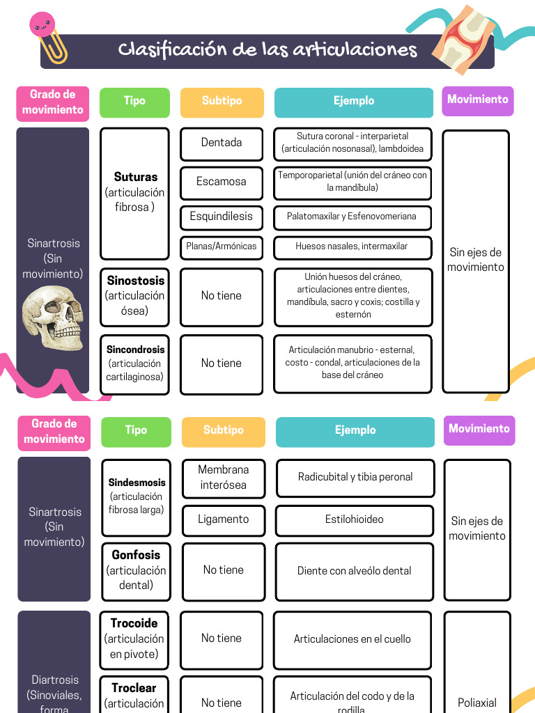 Clasificación de Las Articulaciones | PDF | Articulación | Anatomía