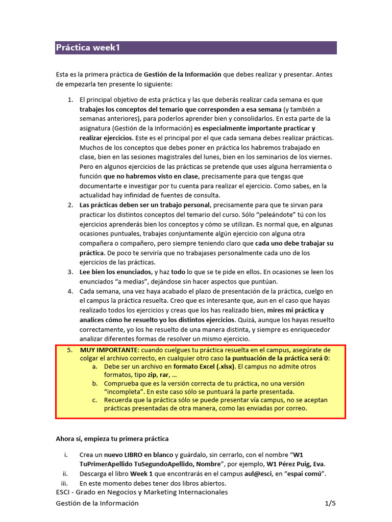 Práctica W1 | PDF | Microsoft Excel | Informática