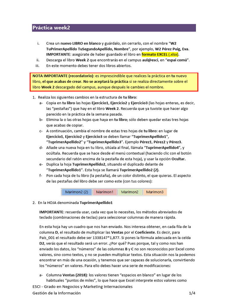 Práctica W2 | PDF | Microsoft Excel
