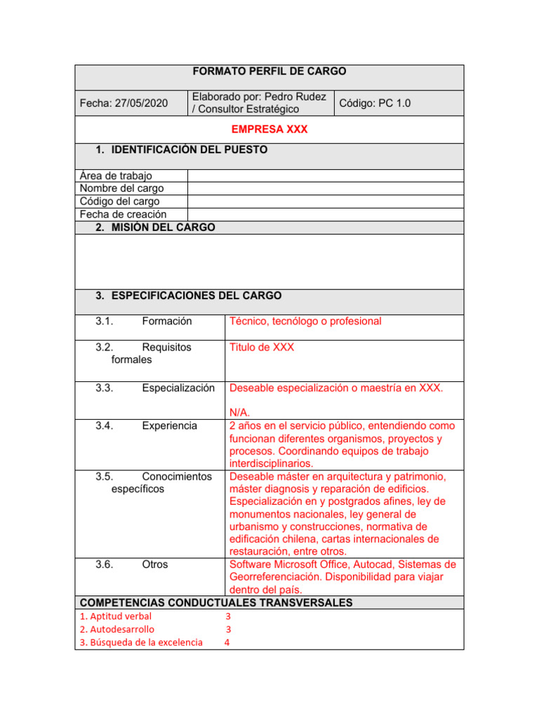 Formato Perfil de Cargo | PDF