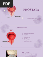 Anatomía y Fisiología Anorrectal | PDF | Recto | Sistema digestivo