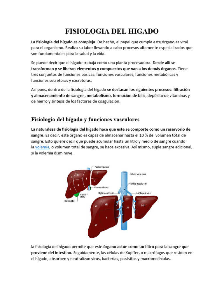 Fisiologia Del Higado | Descargar gratis PDF | Metabolismo | Hígado