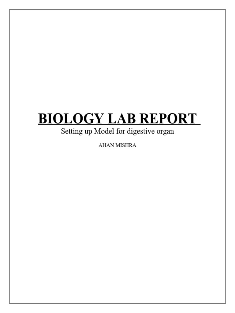 Biology - Lab - Report - Modelling Digestion | PDF | Starch | Digestion