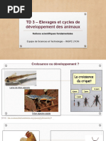 Anatomie du Corps Géniculé Latéral | PDF | Système visuel | Vision
