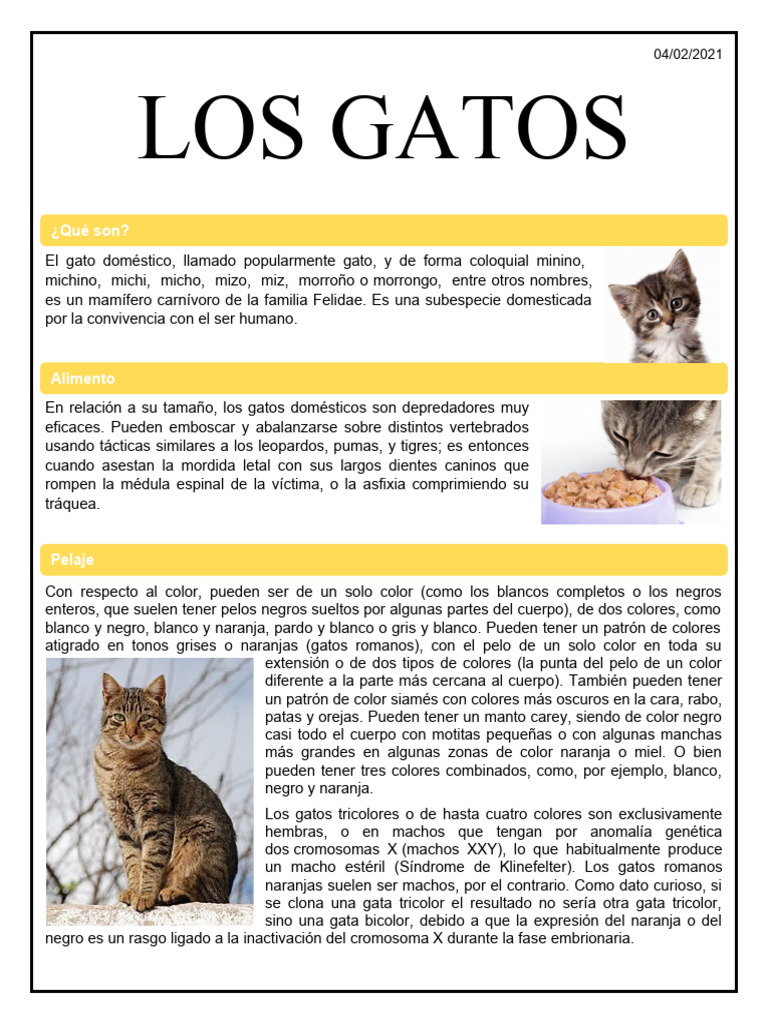 Los Gatos | PDF | Gatos | Mamíferos