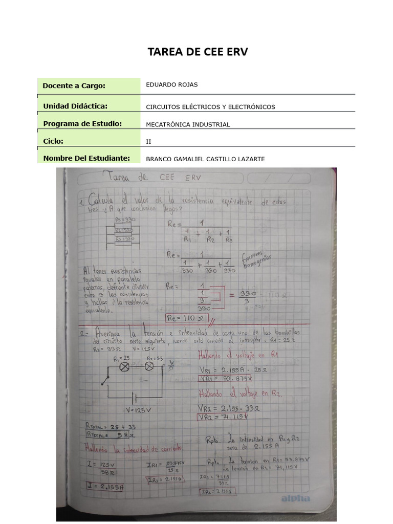 Tarea de Cee Erv | PDF