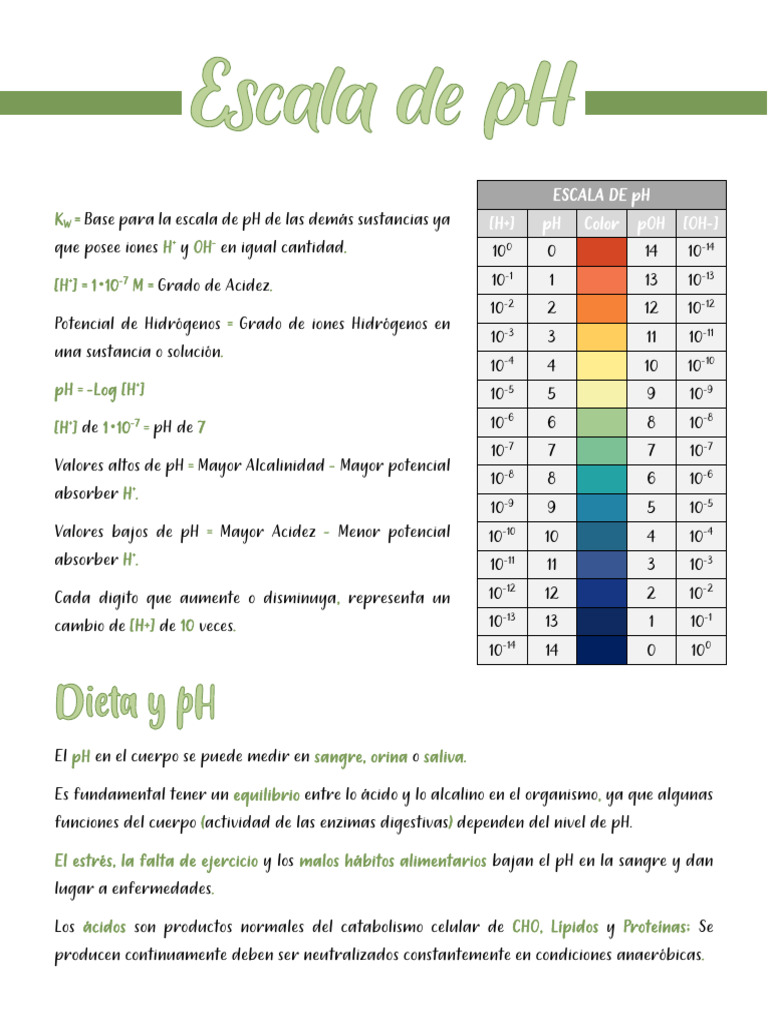 Conceptos Clave del pH y su Importancia | PDF | Ph | Química