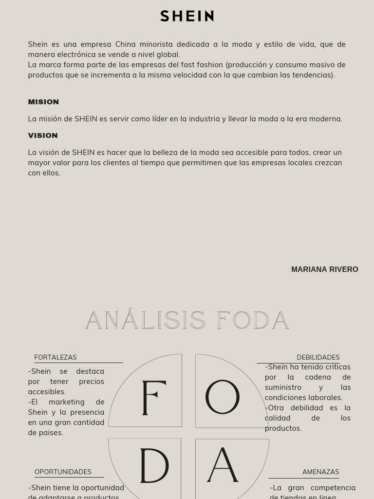 Analisis de Shein | PDF