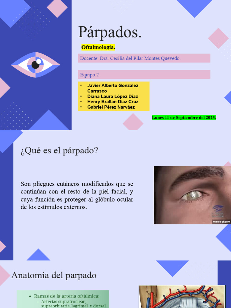 Exposición Oftalmologia - Párpados | PDF | Cáncer | Piel