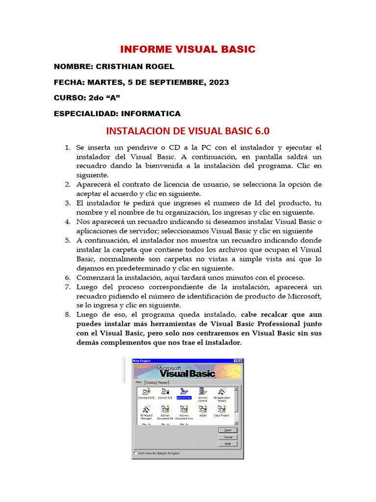 Informe Visual Basic | PDF | Informática