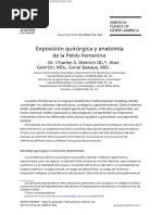 Incisión de Pfannenstiel: Técnica y Aplicaciones | PDF | Pelvis | Vagina