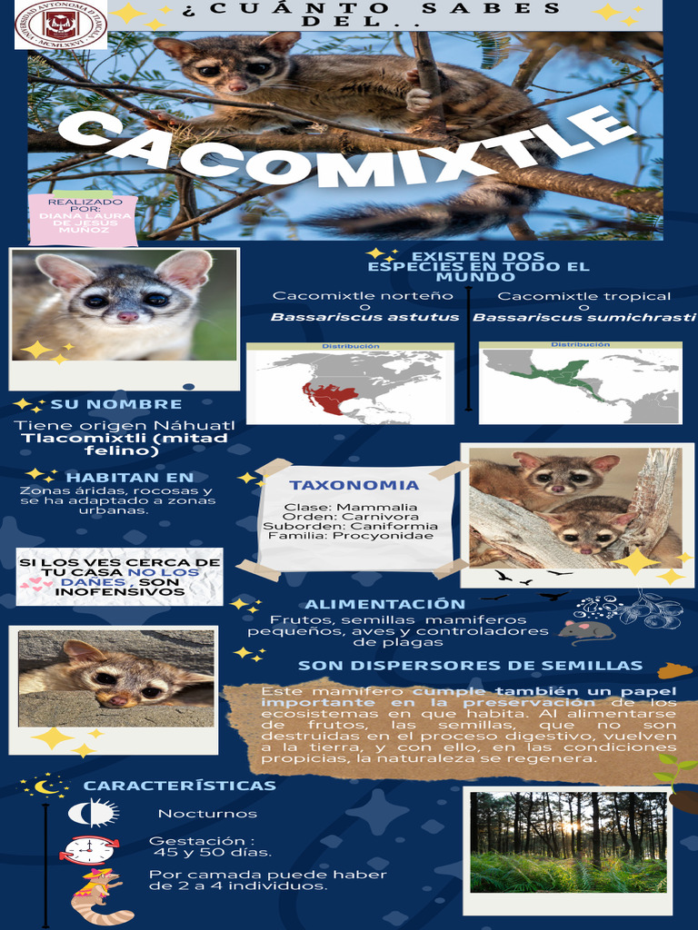 CACOMIXTLE | PDF
