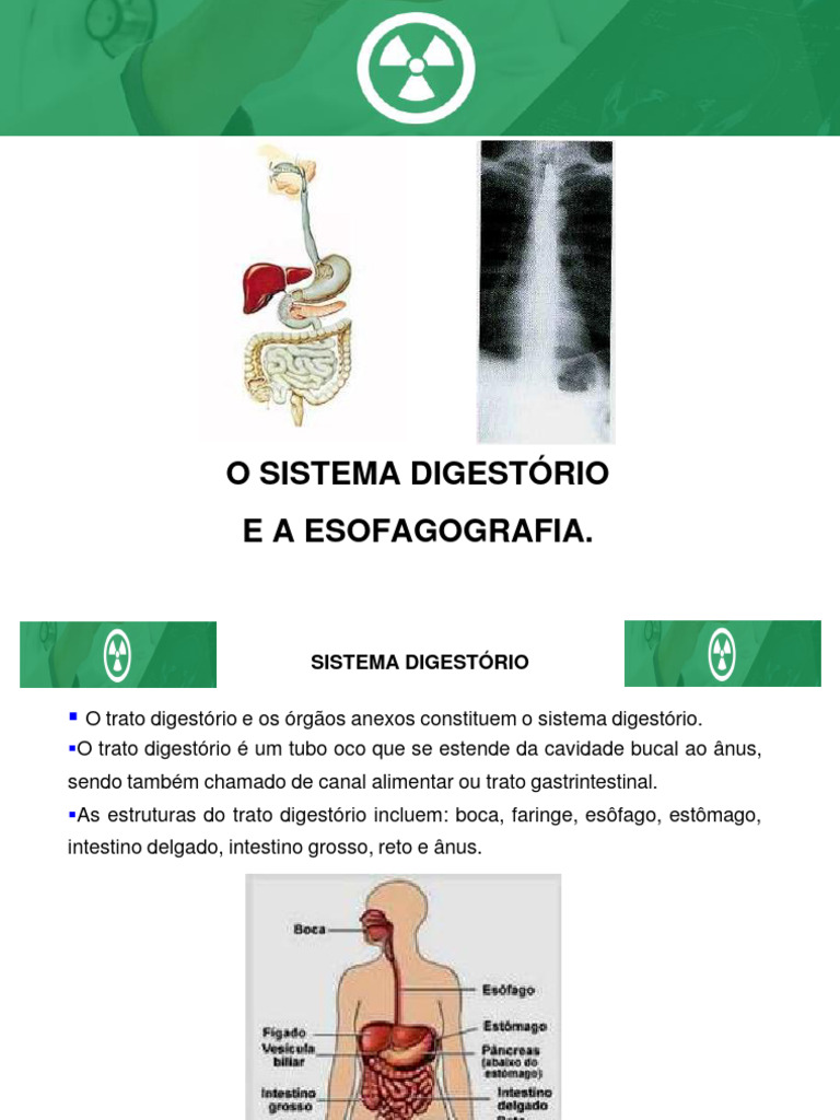 ESOFAGOGRAFIA | Download grátis PDF | Sistema digestivo humano ...
