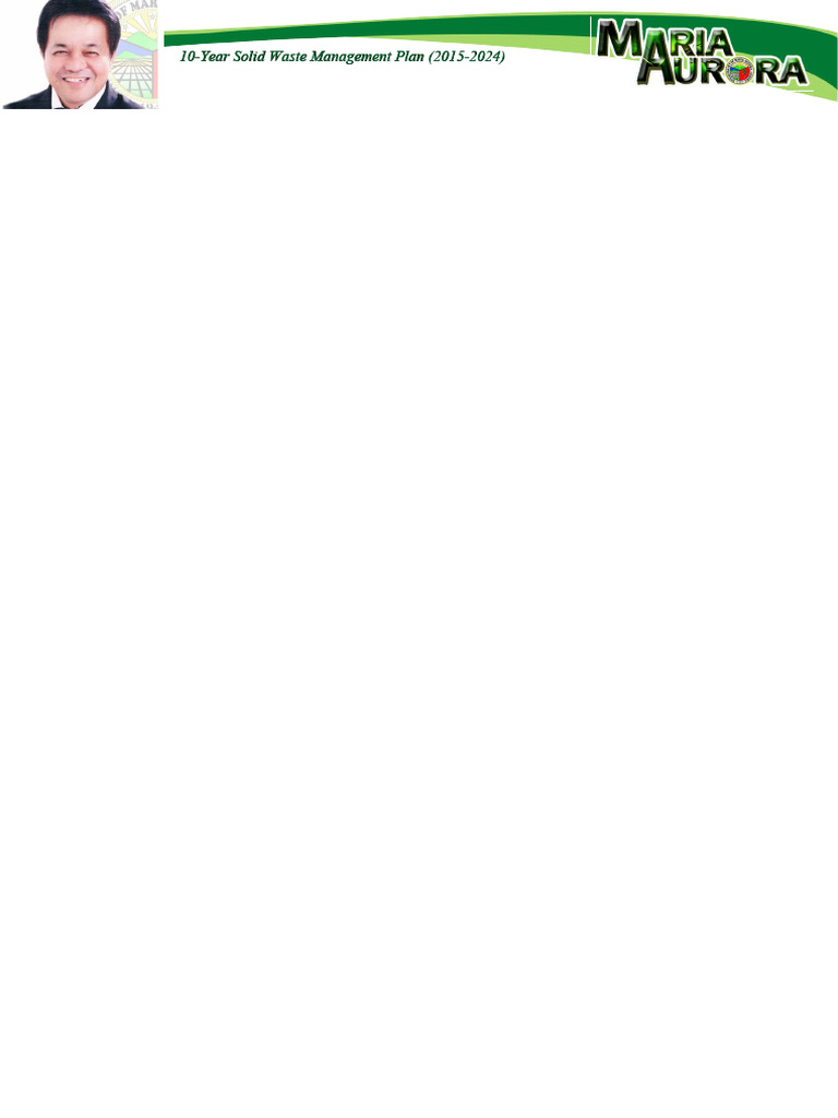 Approved 10 Year SWM Plan - Final.2 | PDF | Municipal Solid Waste | Waste