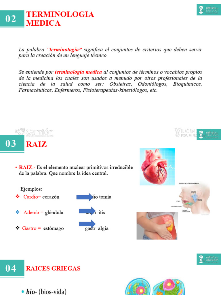 Terminología Médica: Raíces y Términos | PDF