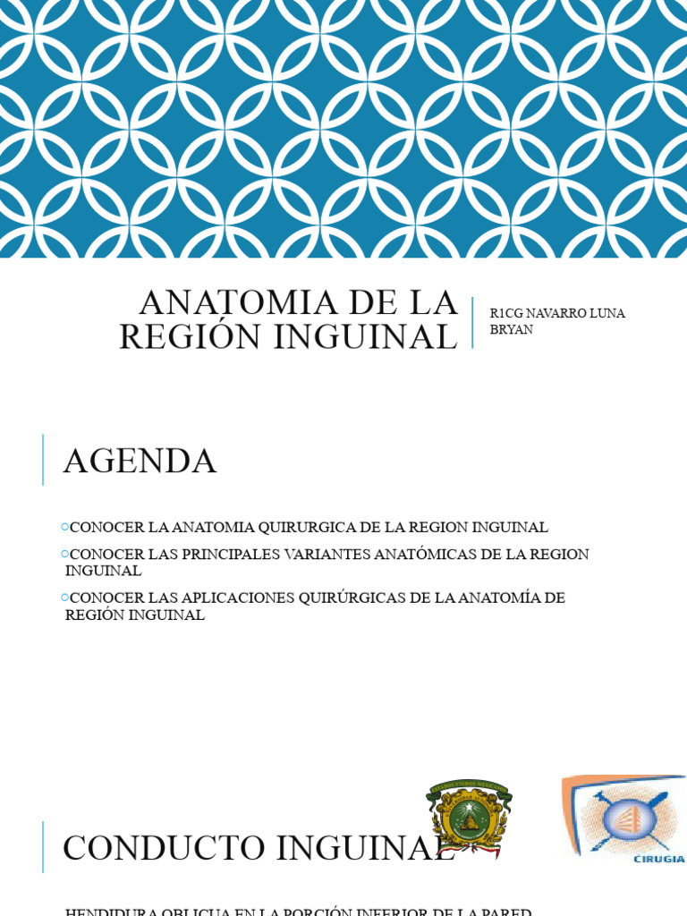 Anatomía de la Región Inguinal | PDF | Anatomía | Morfología (biología)