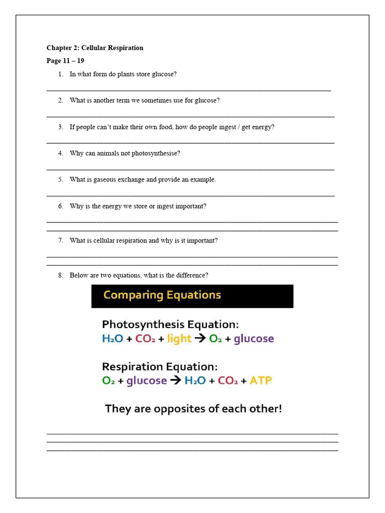 Chapter 2 Cellular Respiration | PDF | Cellular Respiration ...