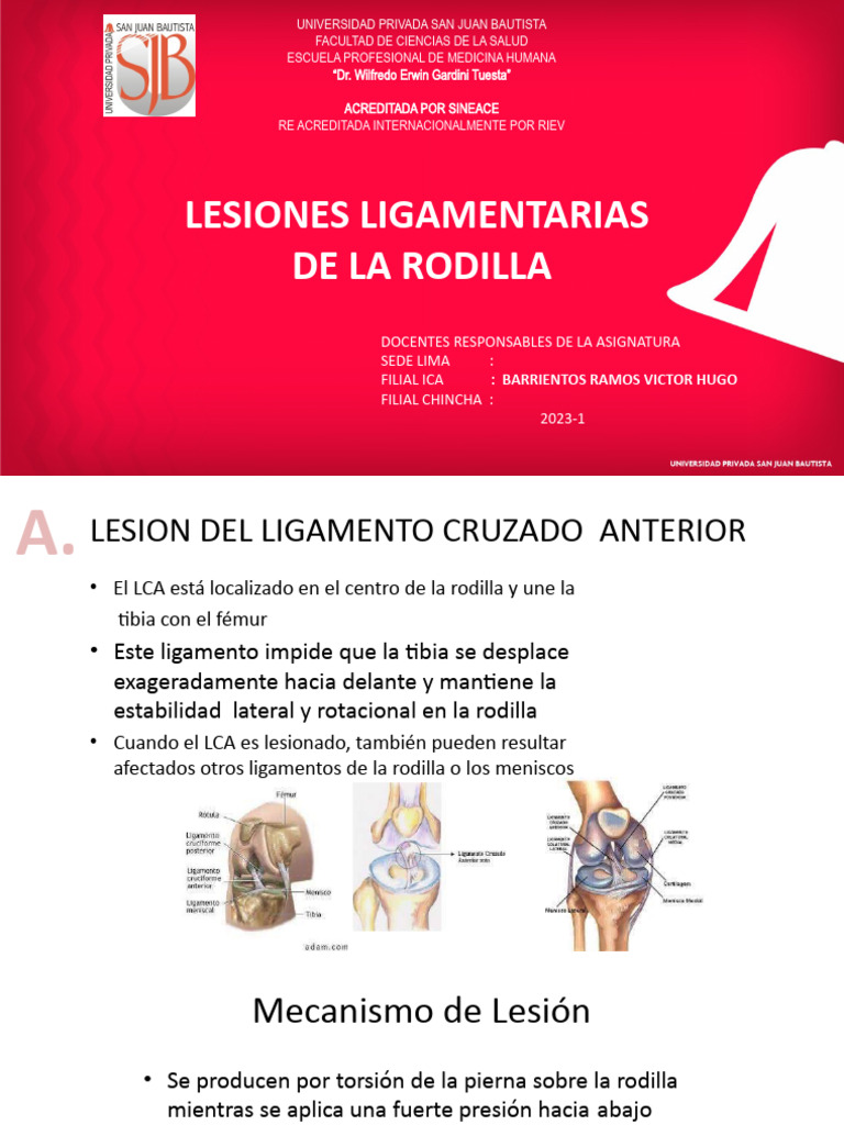 Lesiones Ligamentarias de Rodilla: Guía Completa | PDF | Rodilla ...