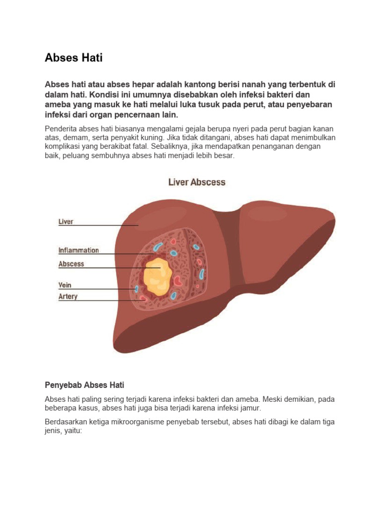 Abses Hati | PDF | Kesehatan Holistik | Gaya Hidup