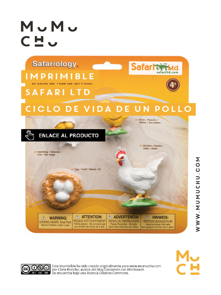 Mumuchu Imprimible Safari Ciclo de Vida Pollo | PDF