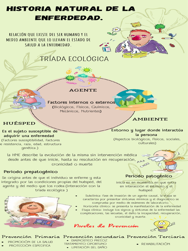 INFOGRAFIA-historia Natural de La Enfermedad. | PDF | Infección | Especialidades Medicas