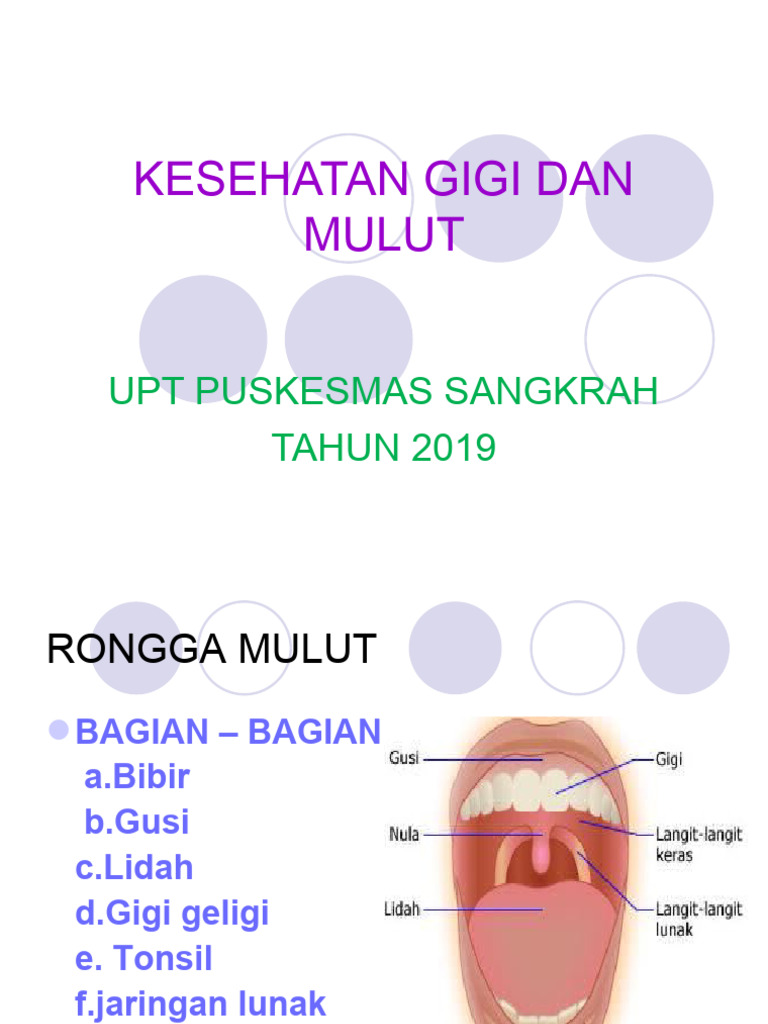 Panduan Kesehatan Gigi dan Mulut | PDF