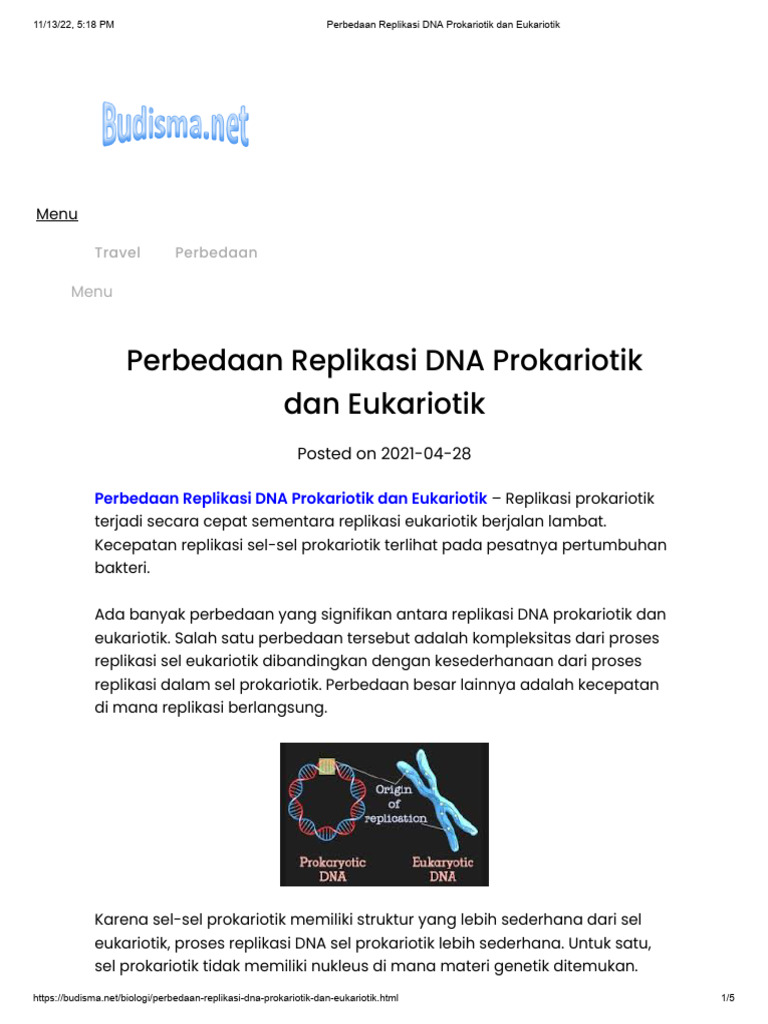 Perbedaan Replikasi DNA Prokariotik dan Eukariotik | PDF
