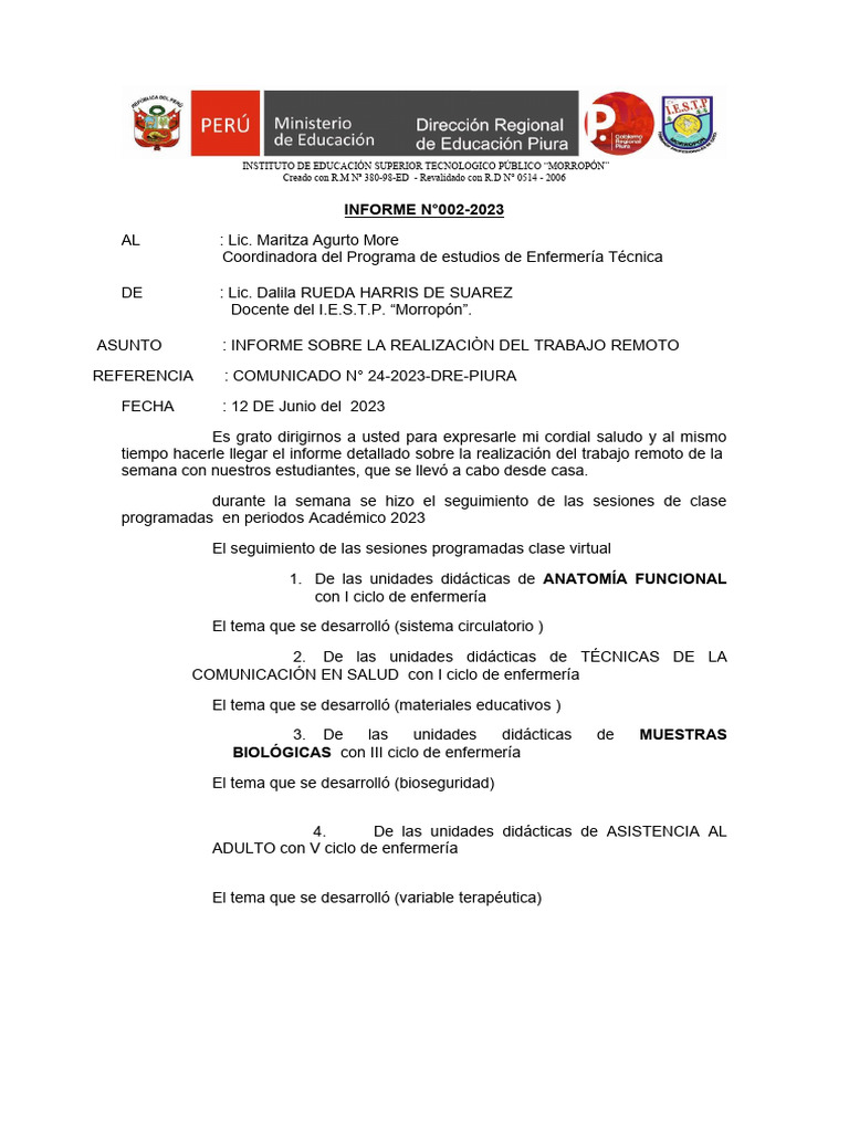INFORME N°002-2023 REMOTO | PDF INFORME N°002-2023 REMOTO | PDF