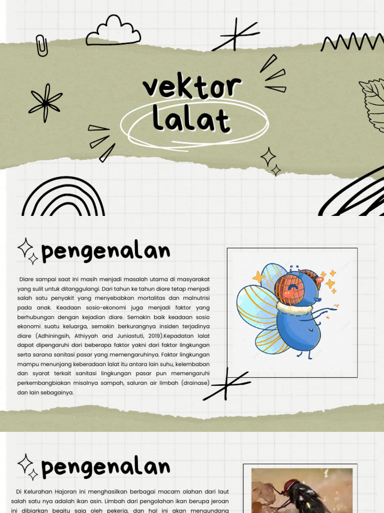 Metamorfosis Lalat dan Dampaknya | PDF