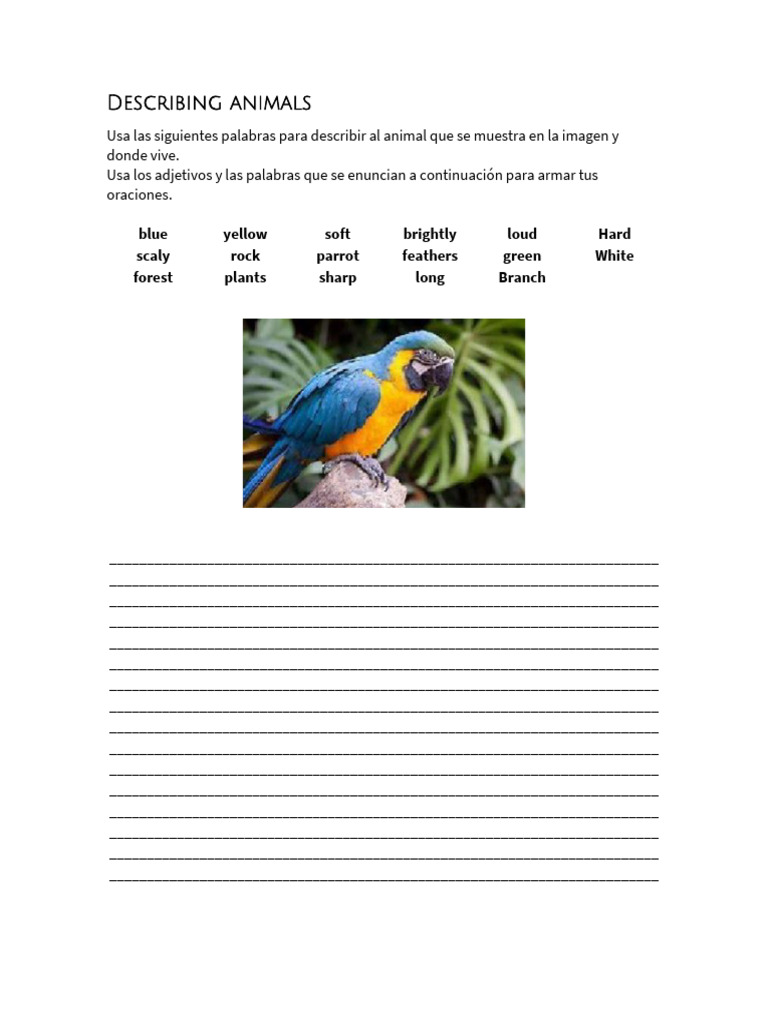 Describing Animals | PDF