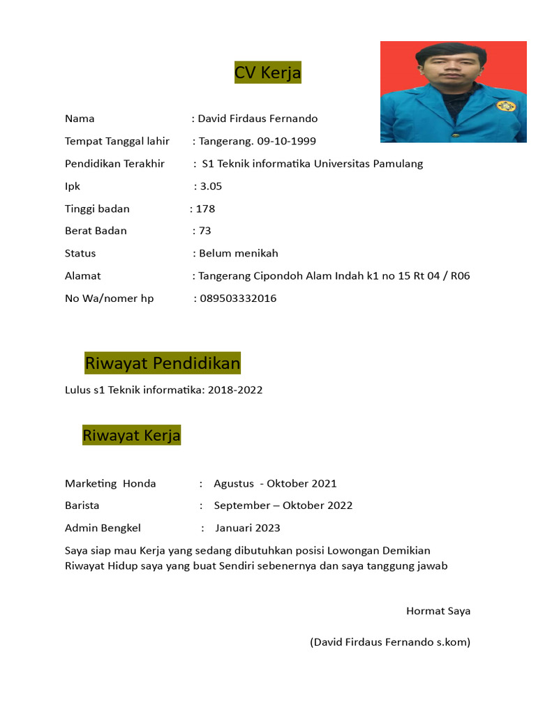 CV Terbaru David FIrdaus Fernando 2023 | PDF
