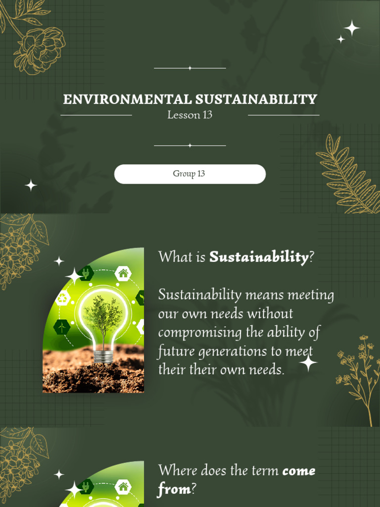 Lesson 13 (Environmental Sustainability) | PDF | Sustainability | Economies