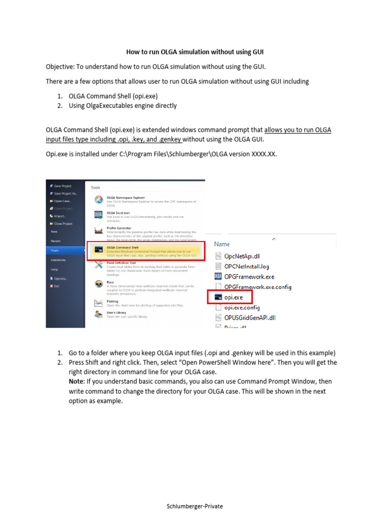 How To Run OLGA Simulation Without Using GUI - 7798996 - 02 | PDF ...