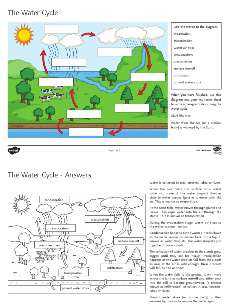 t3 G 96 The Water Cycle Activity Sheet - Ver - 3 | PDF | Water Cycle ...
