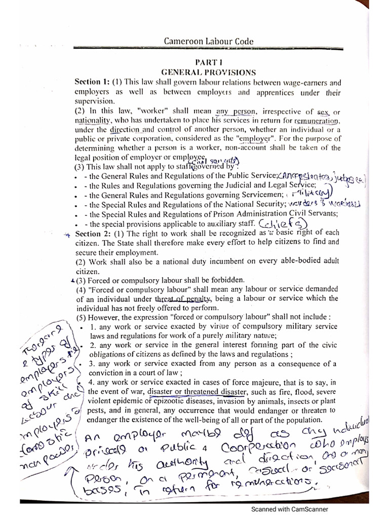 Cameroon Labour Code | PDF