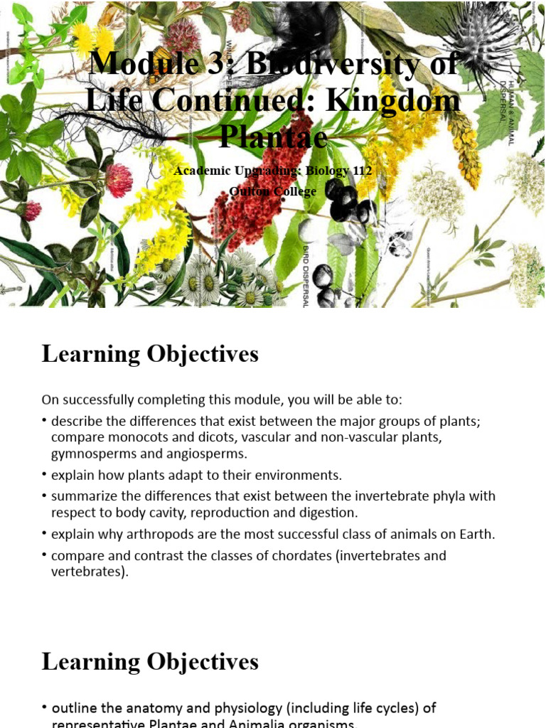 3a - Module 3 Biodiversity Kingdom Plantae Part 1 2020 | PDF ...