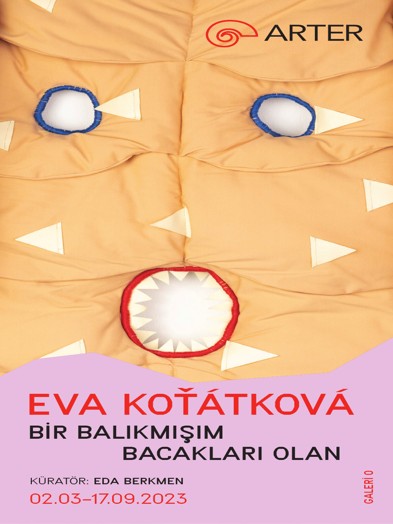 Eva Kotatkova Rehber | PDF