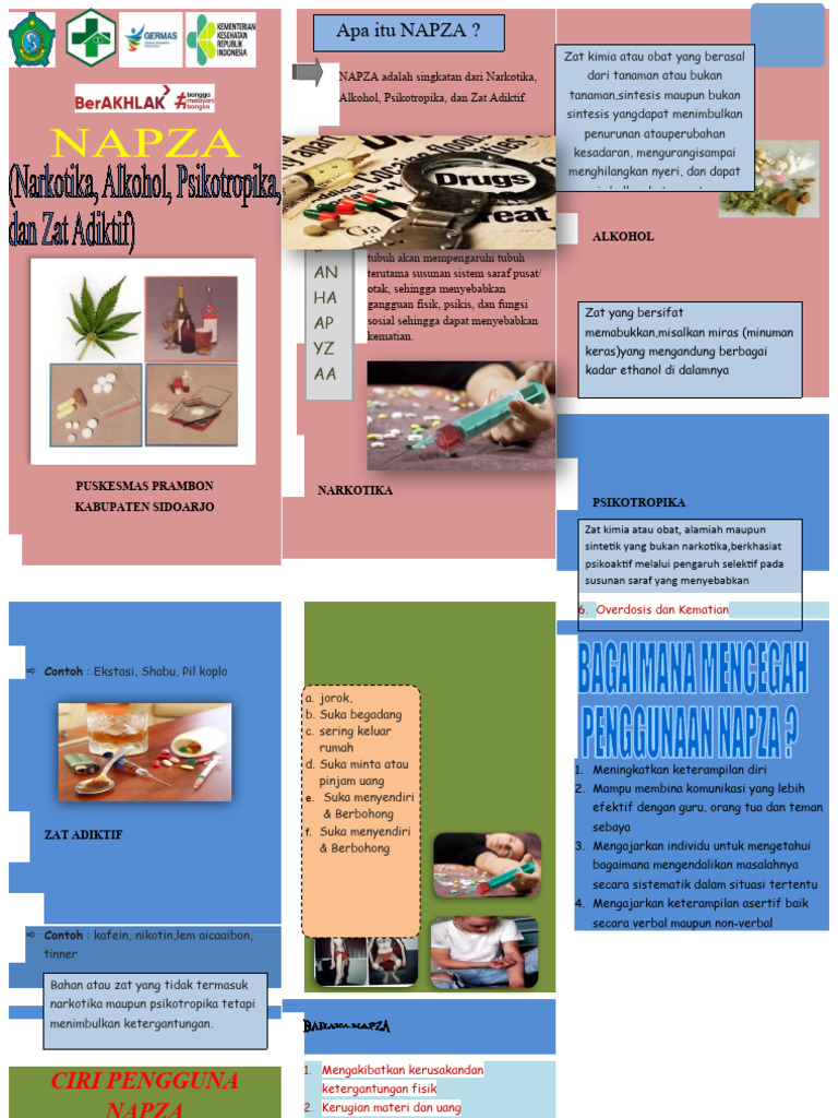 LEAFLEt nAPZA (Fix) | PDF