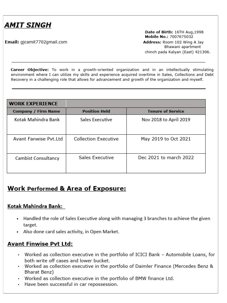 Amit Singh Resume _N_-converted pdf | PDF | Economies
